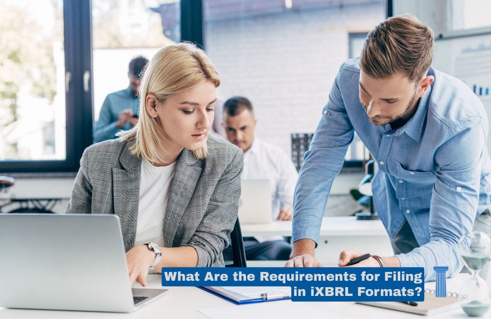 What Are the Requirements for Filing in iXBRL Formats?