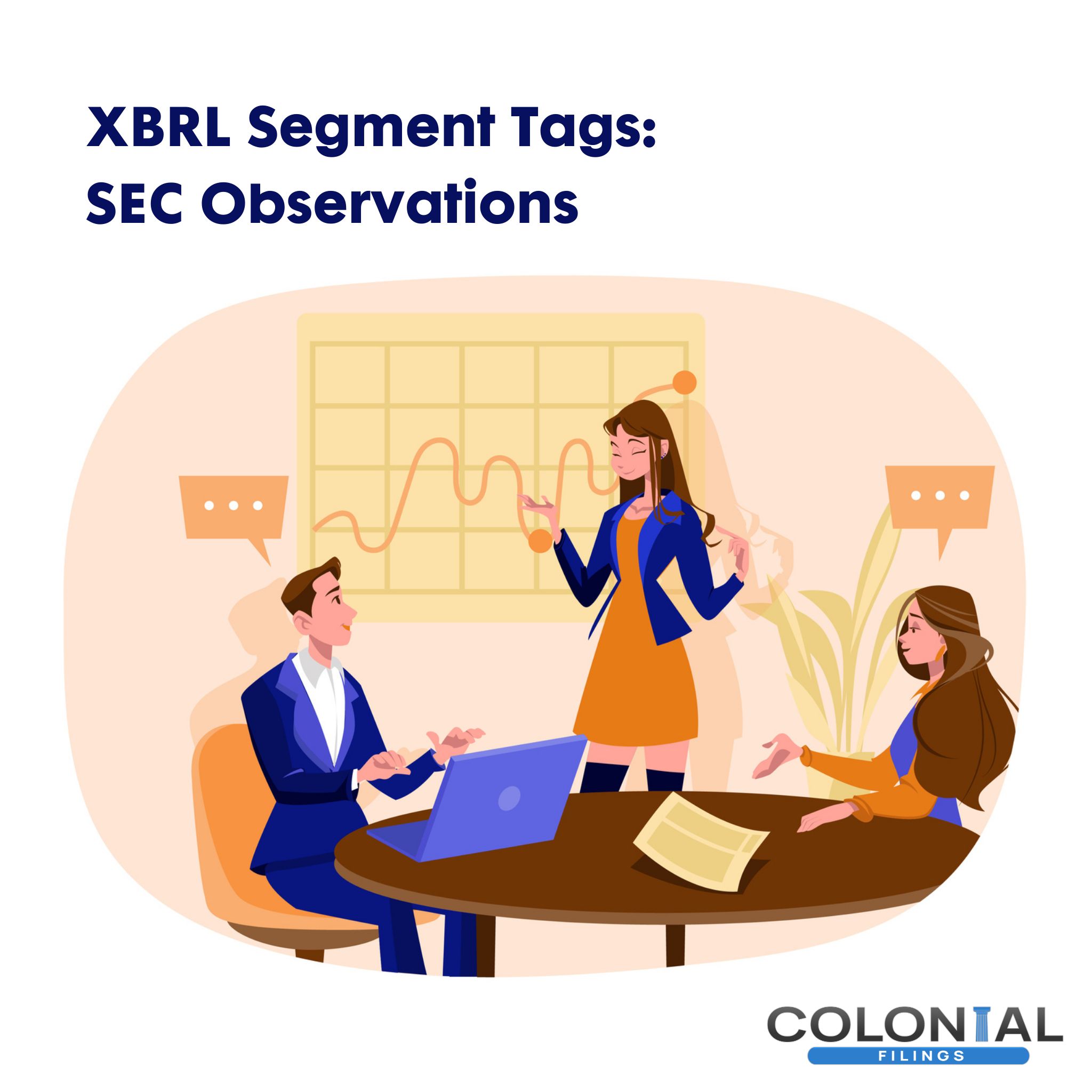 SEC Observations of XBRL Segment Tags